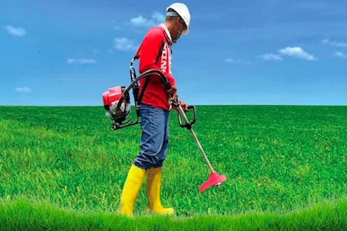 10 Cara Merawat Mesin Potong Rumput Gendong supaya Awet