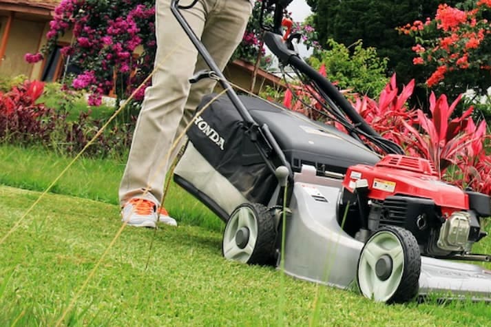 Jenis Rumput Lapangan Sepak Bola dan Cara Merawatnya