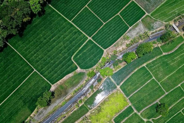 8 Ciri-Ciri Tanah Subur Untuk Ditanami Tanaman