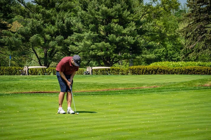 7 Cara Perawatan Rumput Golf Agar Tumbuh Subur dan Rapi